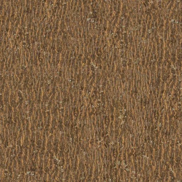 Tronco de textura Stock Photos, Royalty Free Tronco de textura Images ...