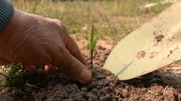 10,117 Dig the ground Videos, Royalty-free Stock Dig the ground Footage ...