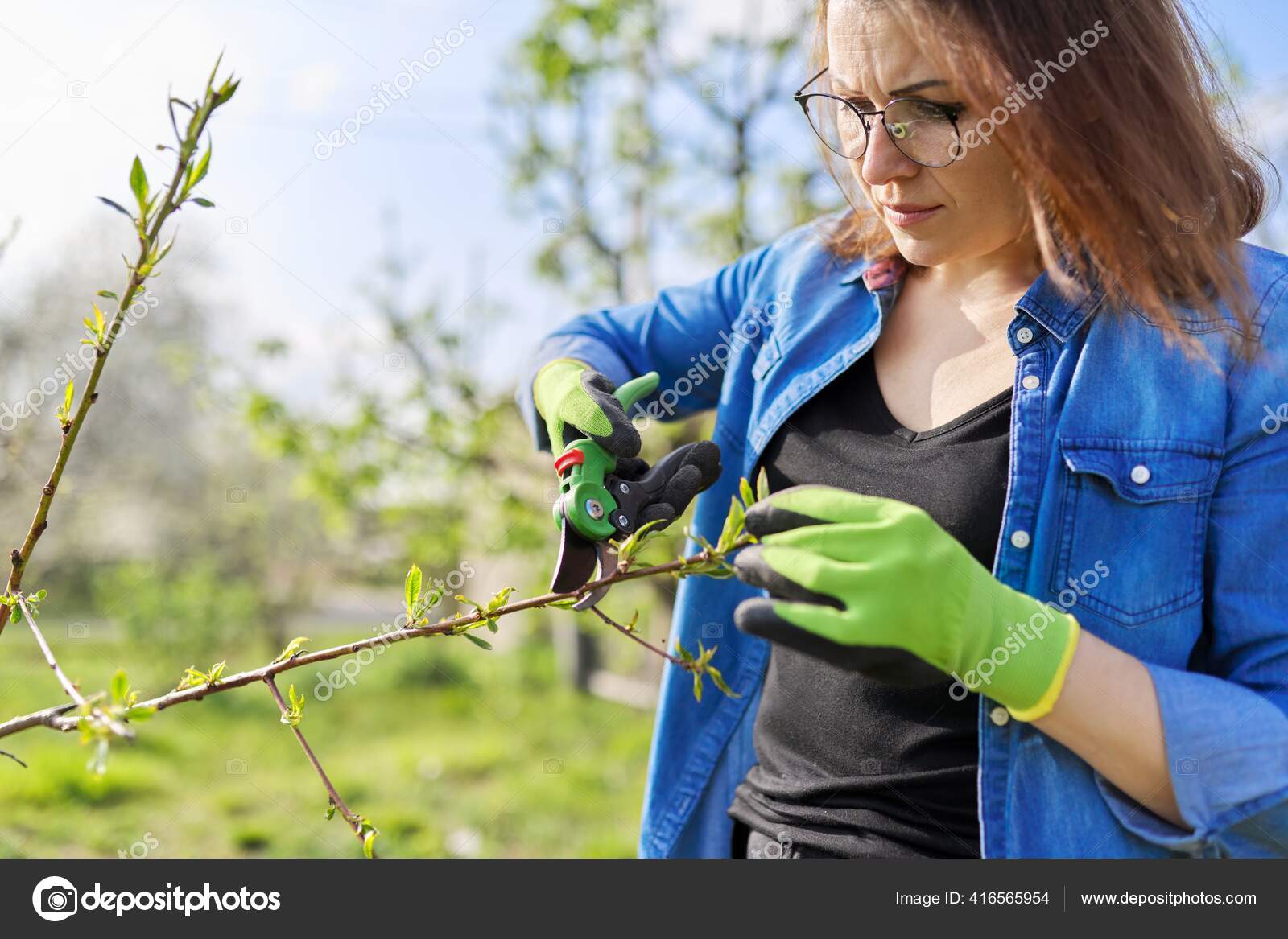 Garden Lady Peach Tree