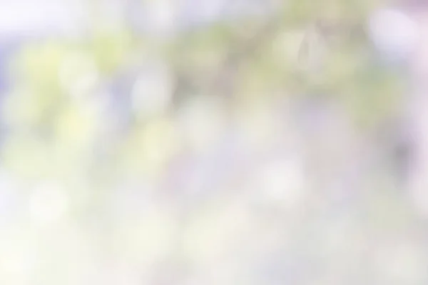 abstract nature color mix blur backgrund, color white green mix ...