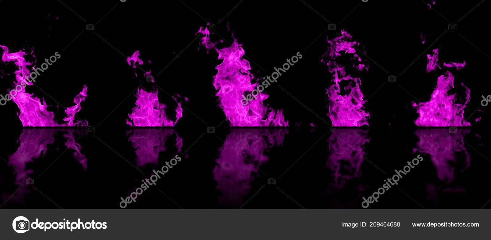 Real Fire Flames Pink Color Reflection Isolated Black Background Mockup ...