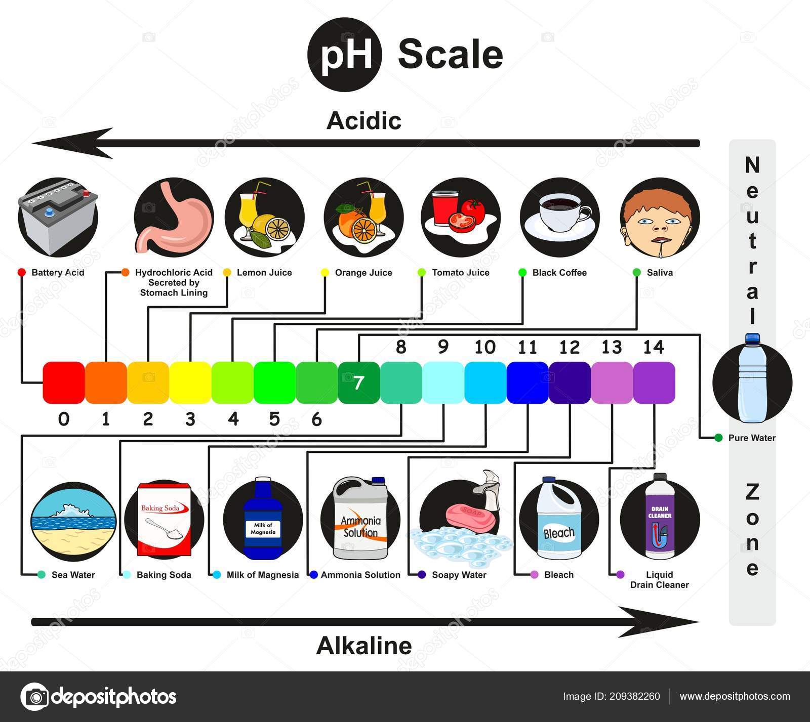Ph Scale Examples For Kids