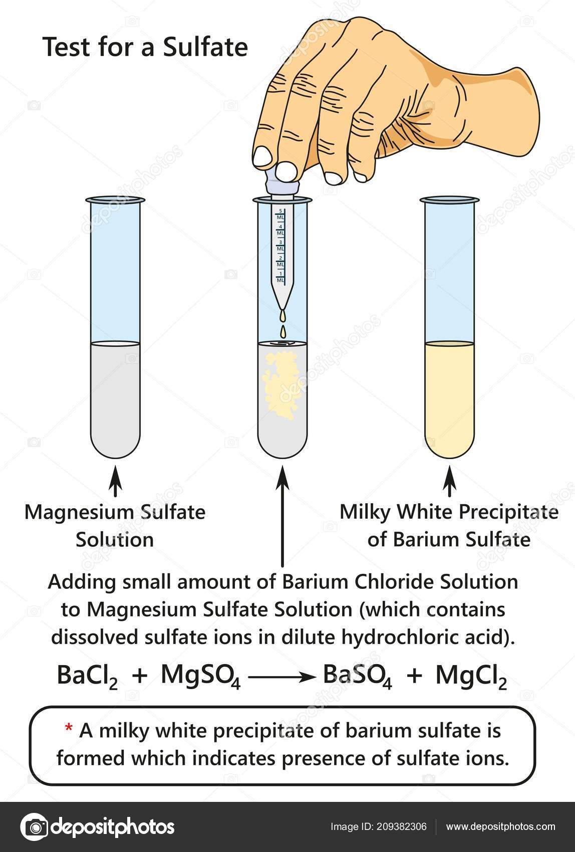 Test Sulfate Infographic Diagram Showing Laboratory Experiment ...