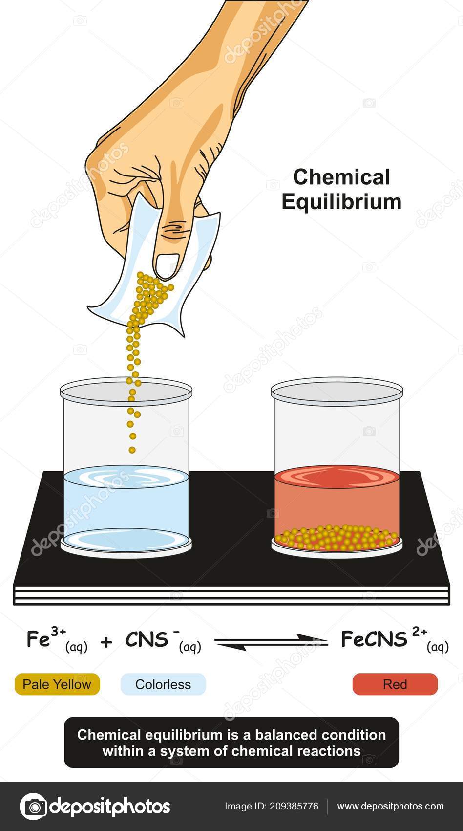 Chemical Equilibrium Animation