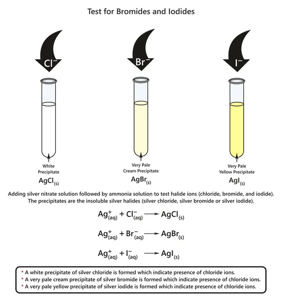 Test Sulfate Infographic Diagram Showing Laboratory Experiment ...