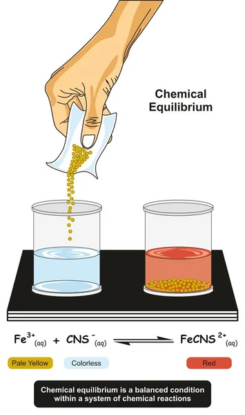 Test Sulfate Infographic Diagram Showing Laboratory Experiment ...