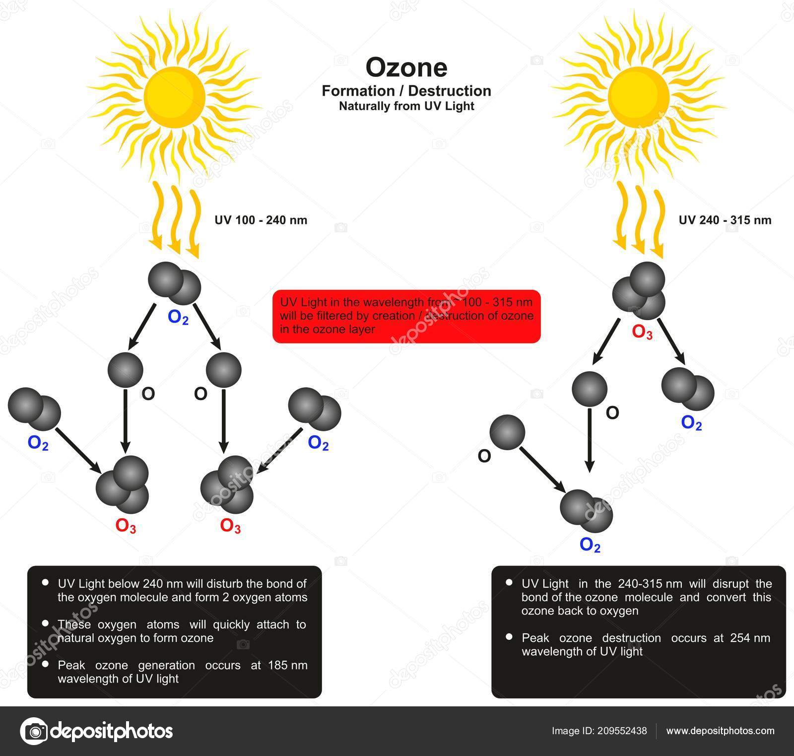 Ozone Formation Destruction Infographic Diagram Naturally Form Light ...