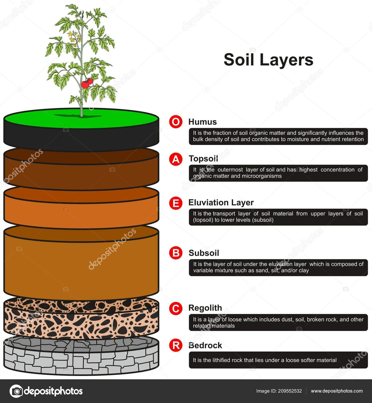 3 Layers Of Soil Topsoil Subsoil Bedrock