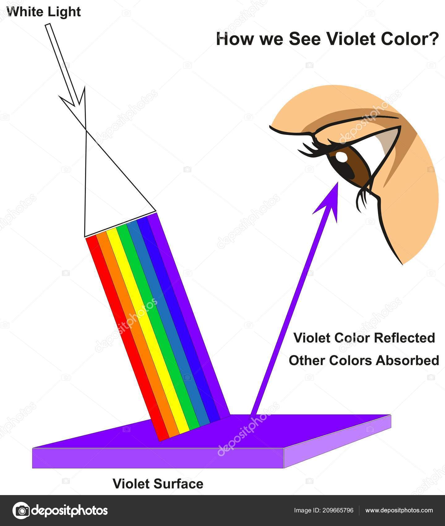 How See Violet Color Infographic Diagram Showing Visible Spectrum Light ...