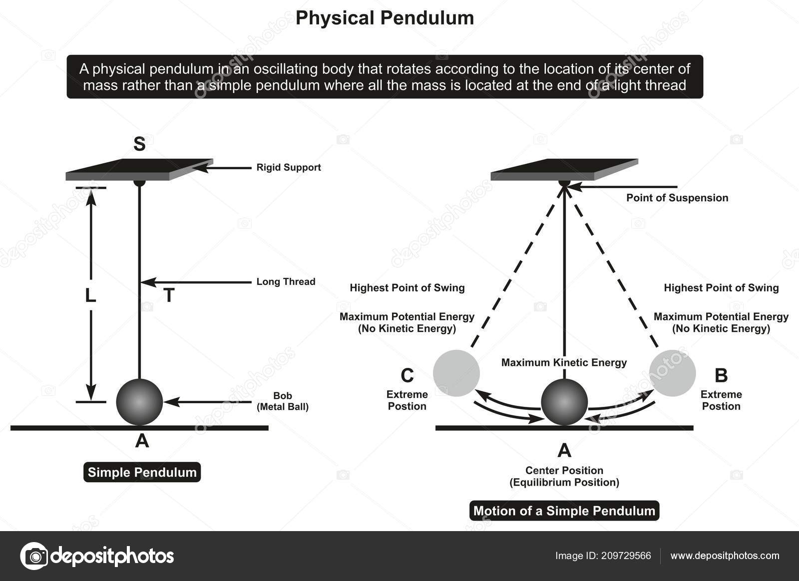 Physical Pendulum Infographic Diagram Showing Its Parts Motion ...
