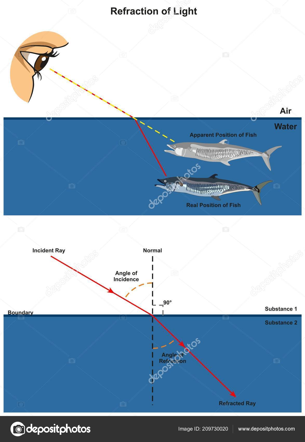 Refraction Light Infographic Diagram Example Human Eye Looking Fish ...