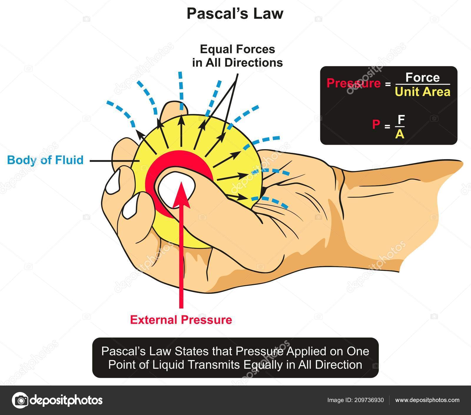 Pascals Law Infographic Diagram Showing Example Body Fluid Held Hand ...