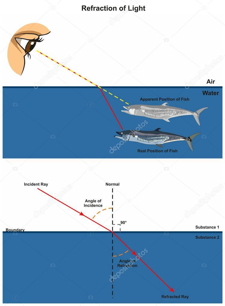 Refracción de la luz diagrama infográfico con un ejemplo de ojo humano mirando a los peces en el ...