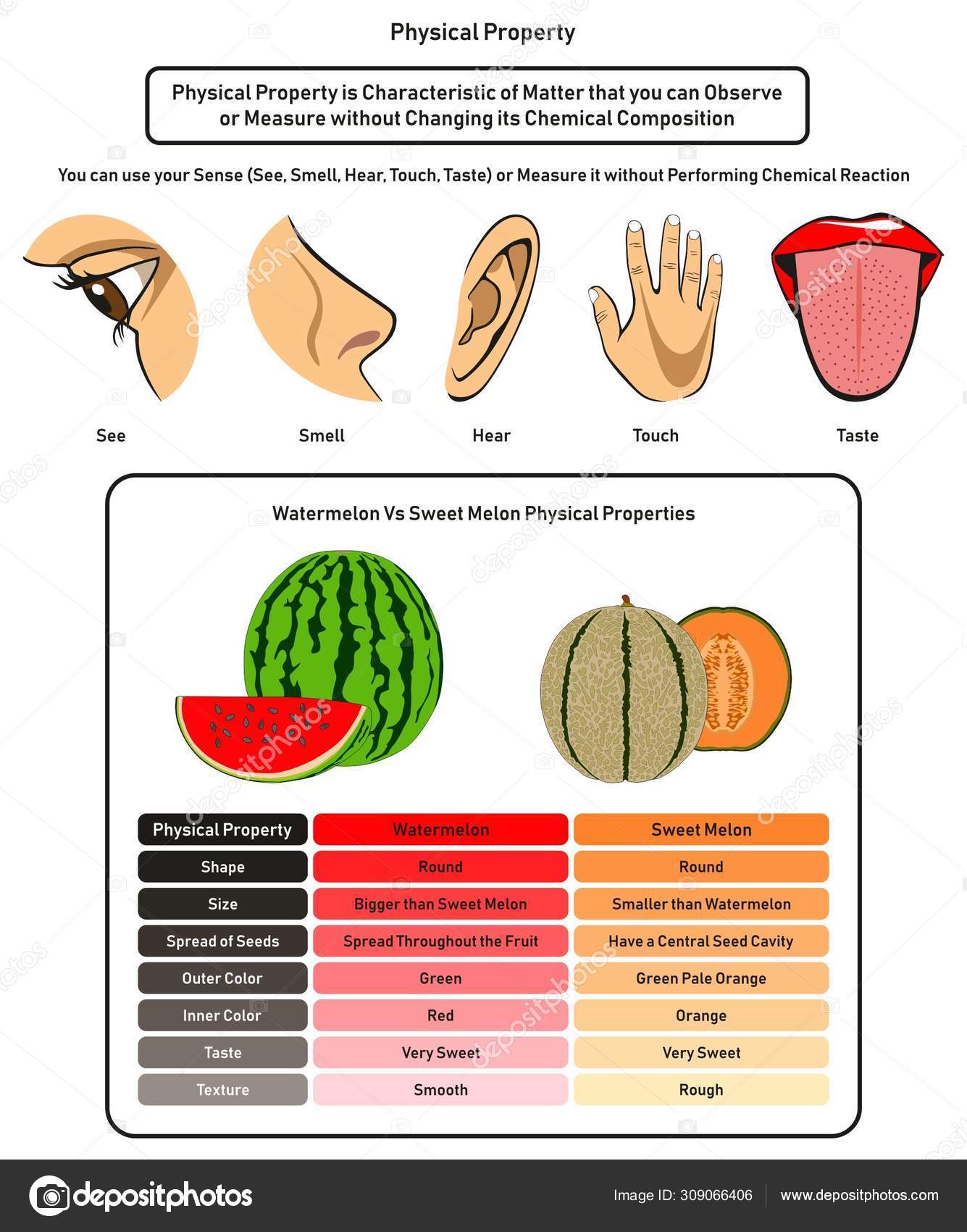 Physical Property Infographic Diagram Showing Using Human Five Senses ...