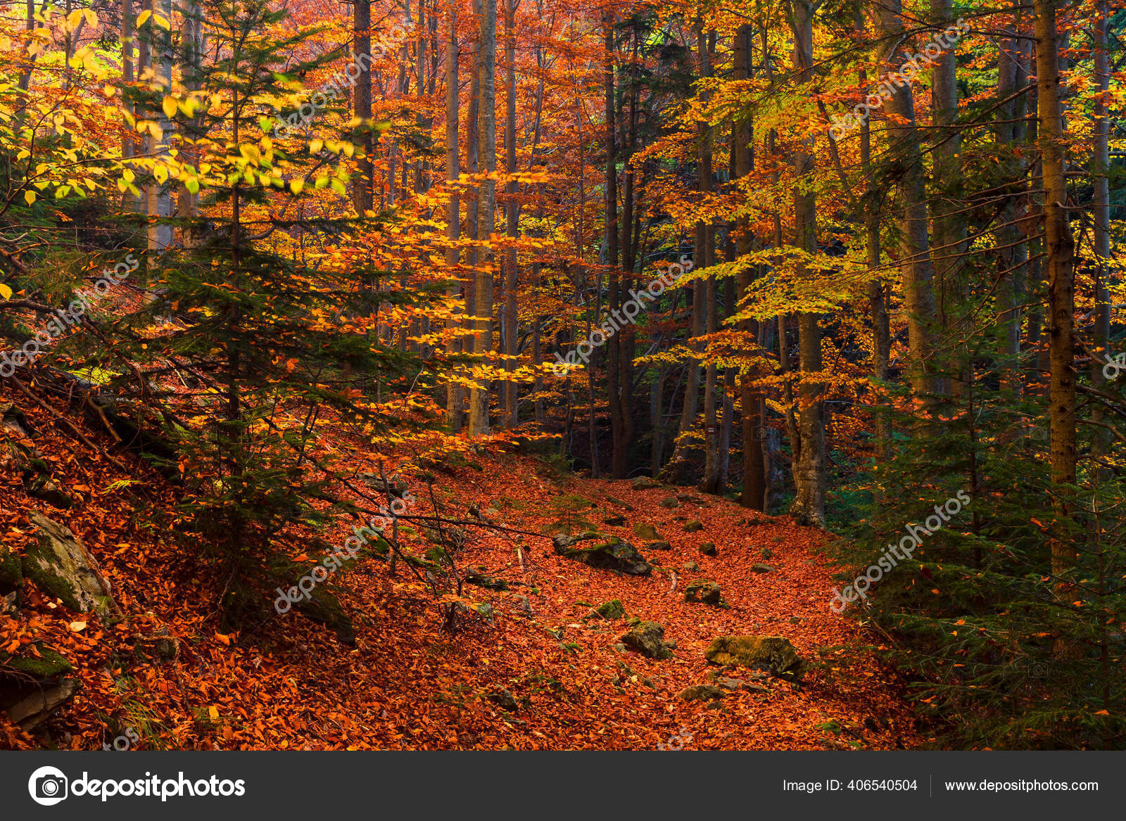 Rupite Known Curative Hot Springs Issuing Area Temperature 75C — Stock ...
