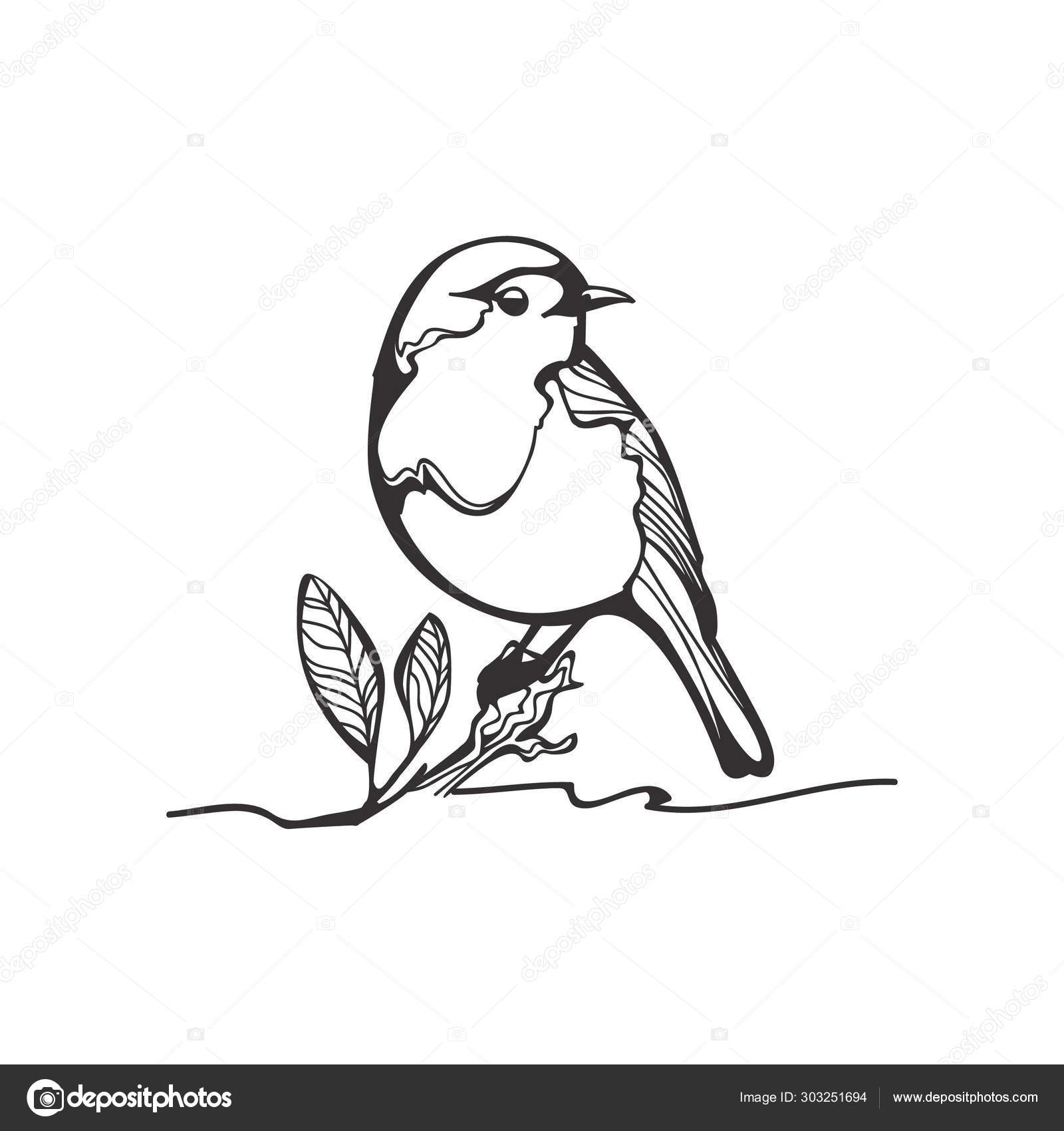 Robin sketch, black and white illustration Stock Vector Image by ...
