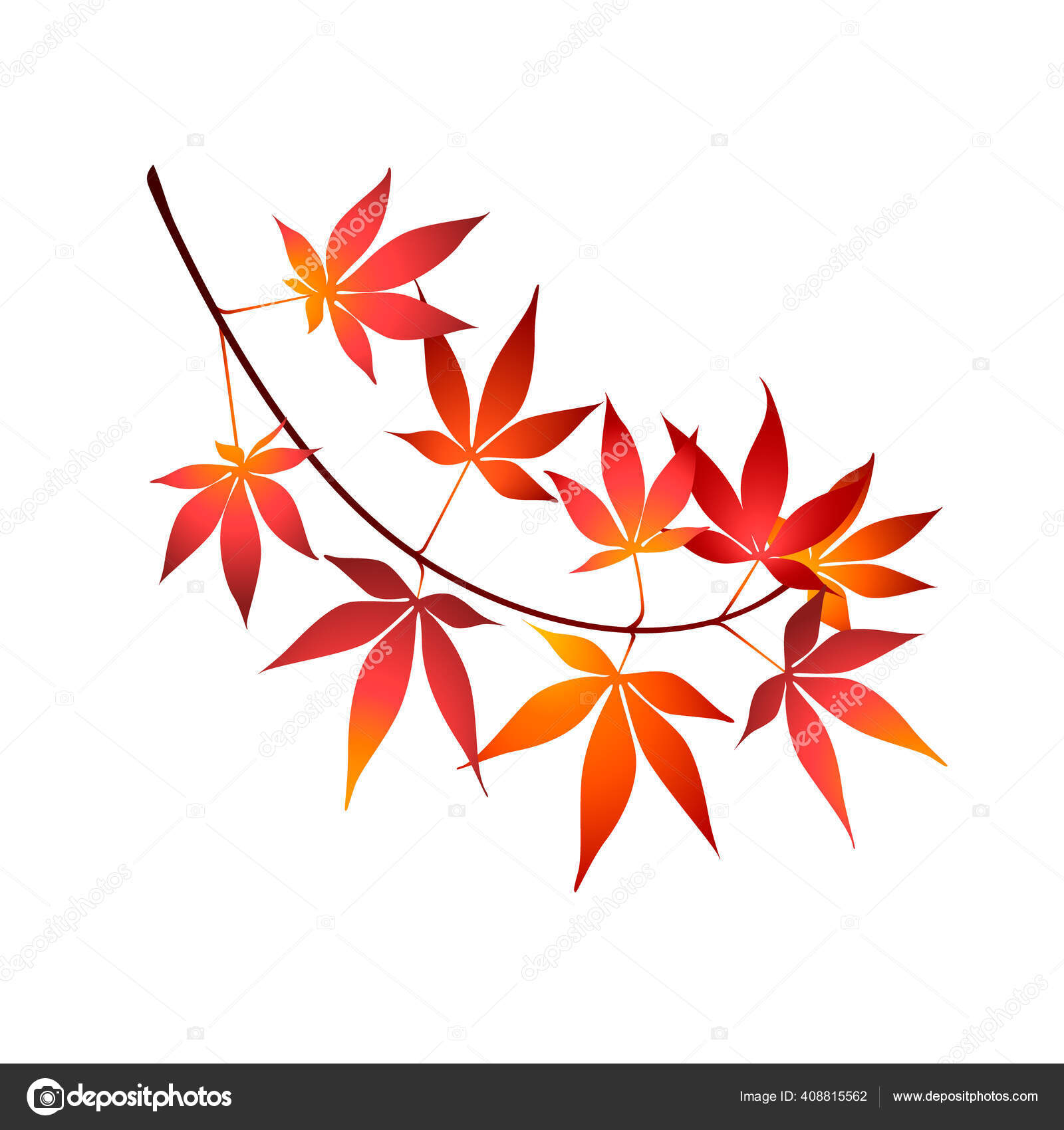 Red Maple Tree Leaves Vector Illustration Japanese Maple Tree Branch ...