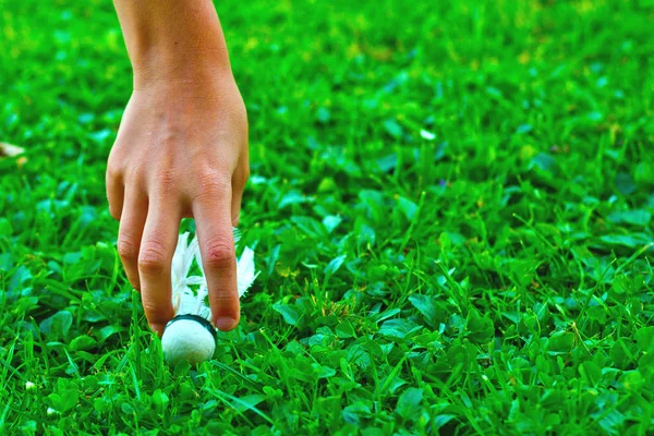 Croquet Stock Photos, Royalty Free Croquet Images | Depositphotos