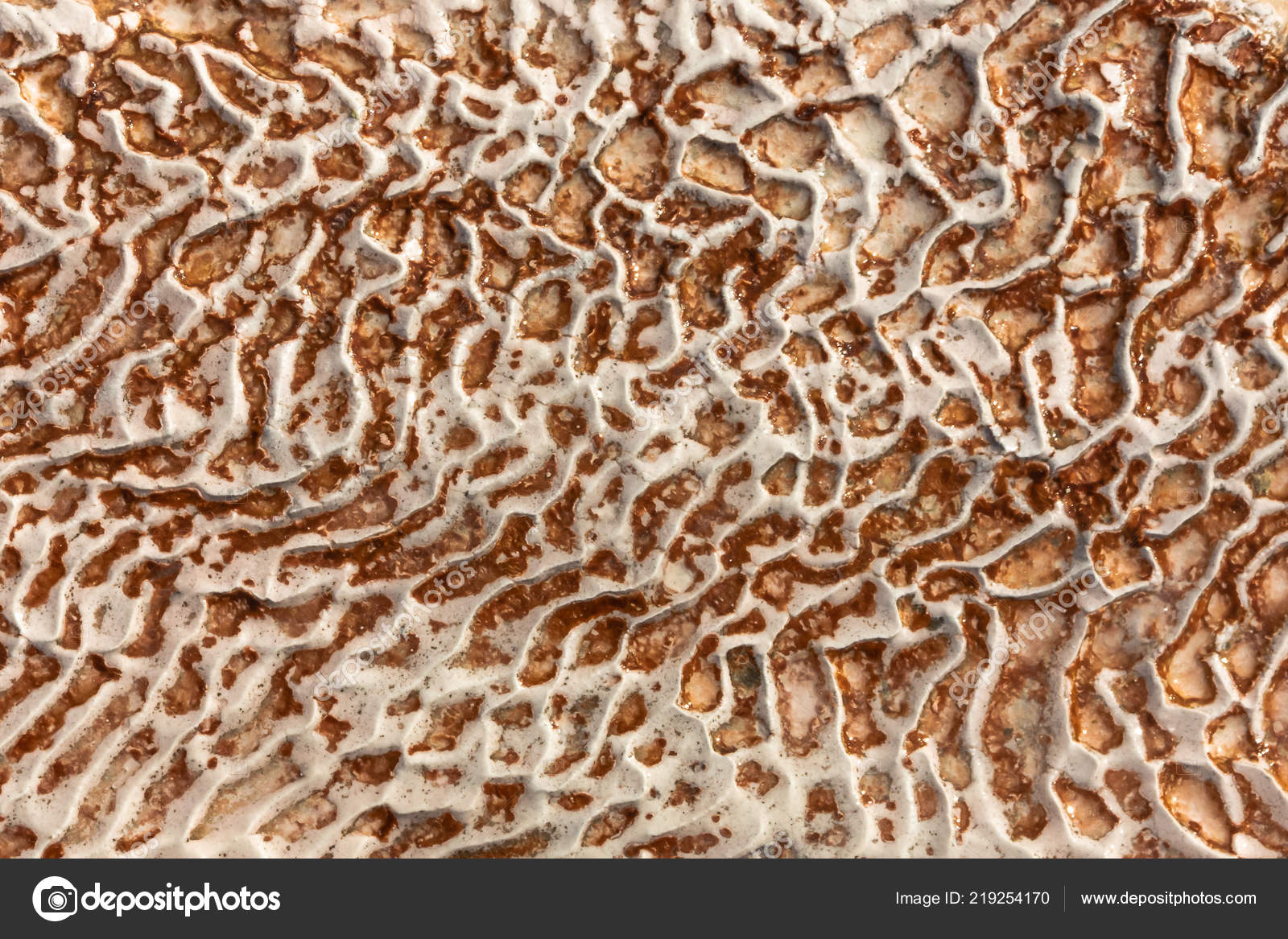 Surface Limestone Form Intricate Patterns Texture Made Flowing Water ...
