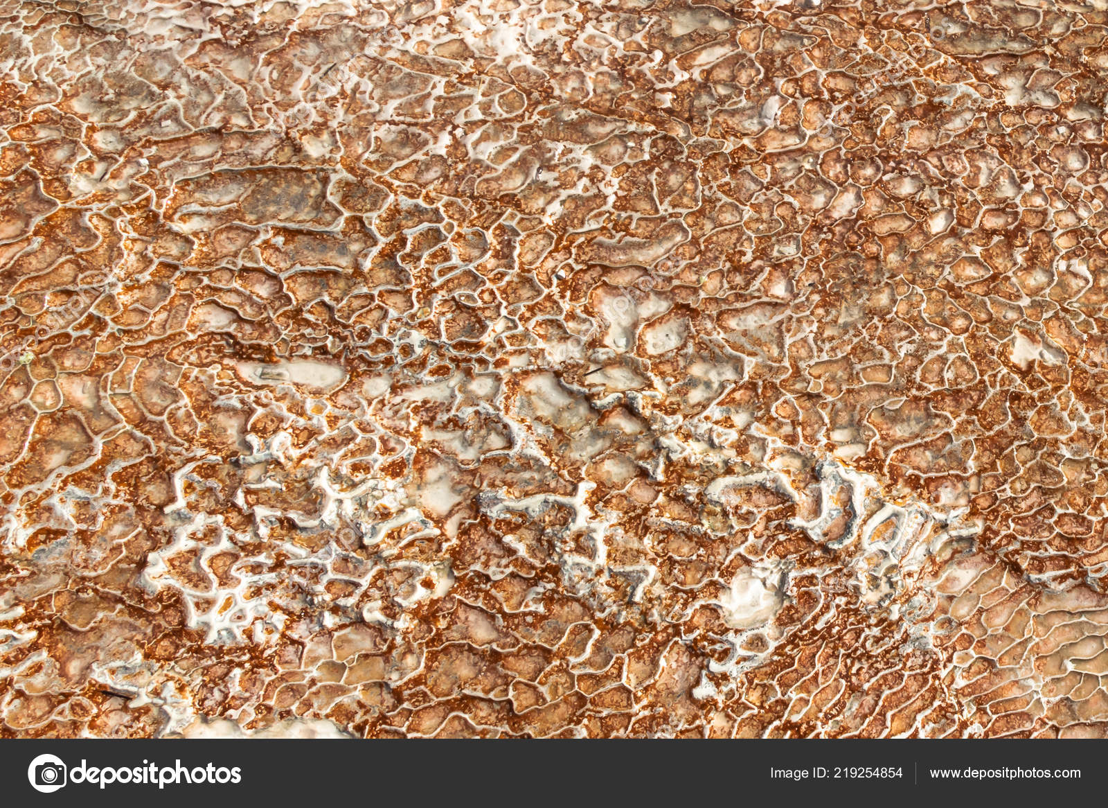 Surface Limestone Form Intricate Patterns Texture Made Flowing Water ...