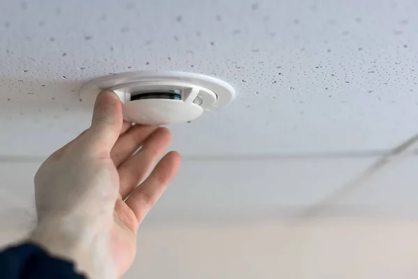 Ceiling sensor Images - Search Images on Everypixel