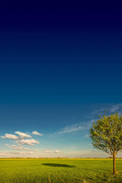 Landscape cover page Images - Search Images on Everypixel