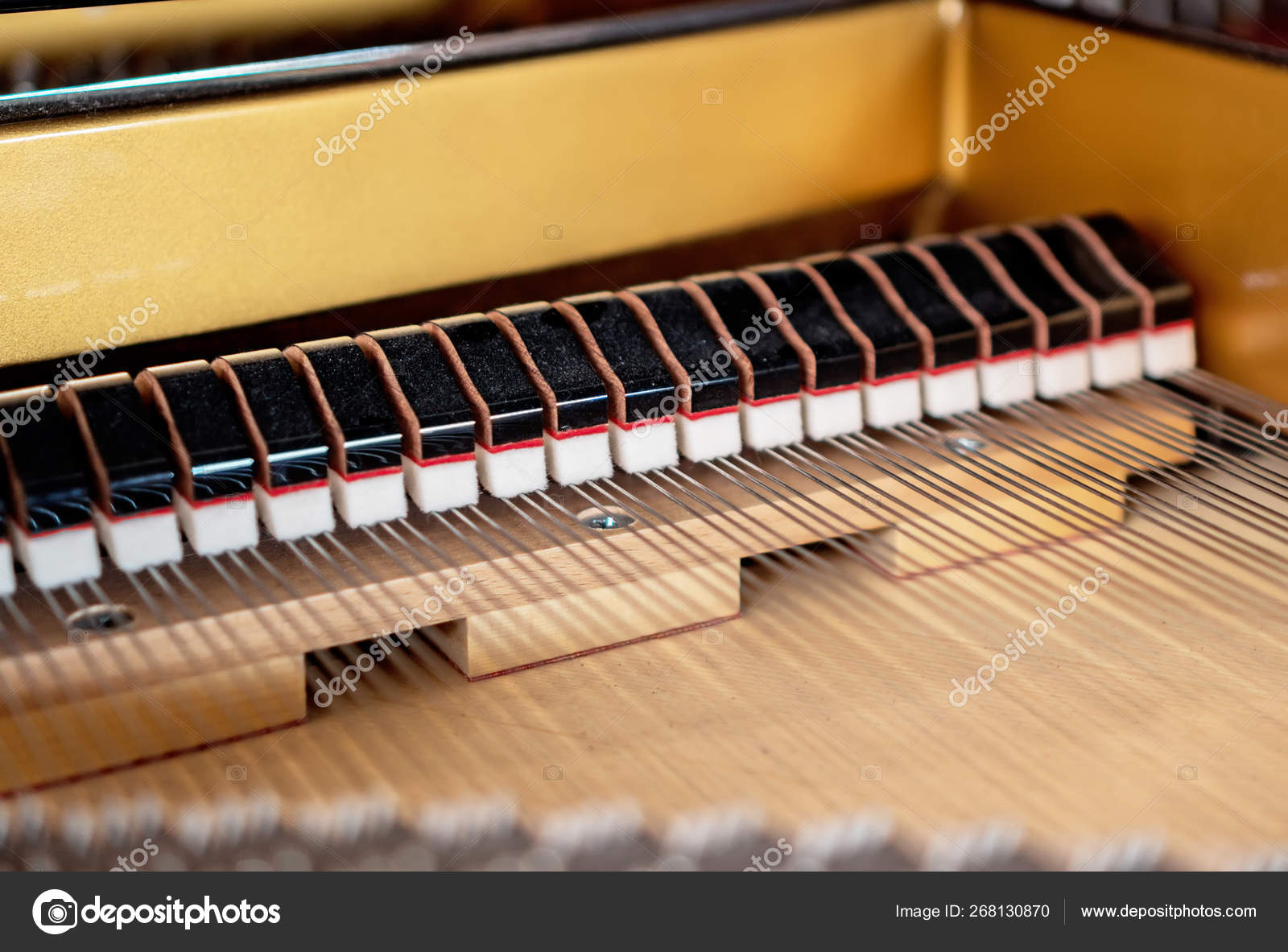 Grand Piano Strings