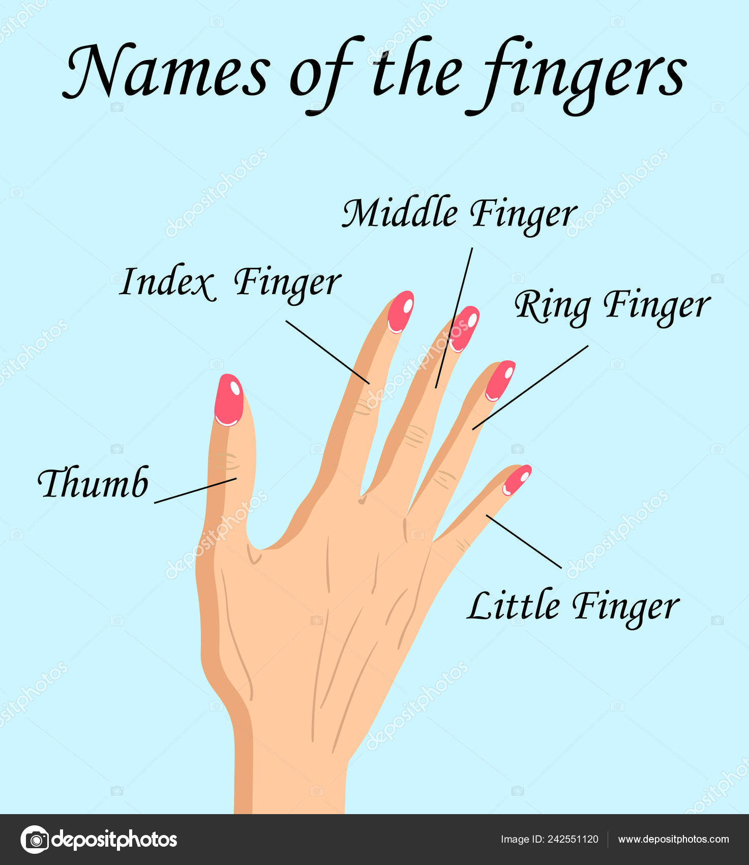 Fingers Names of Human Body Parts, desenho animado ilustração de dedos ...