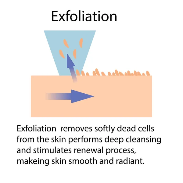 Exfoliant Vector Art Stock Images | Depositphotos