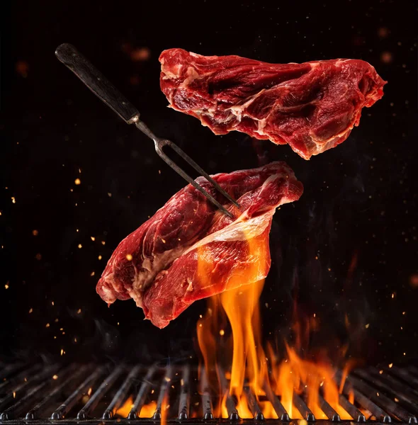 Fly meat Stock Photos, Royalty Free Fly meat Images | Depositphotos