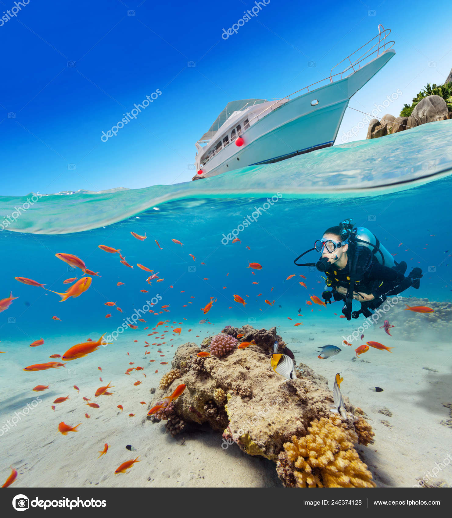 Water Surface View Woman Diver Underwater Fauna Flora Marine Life ...