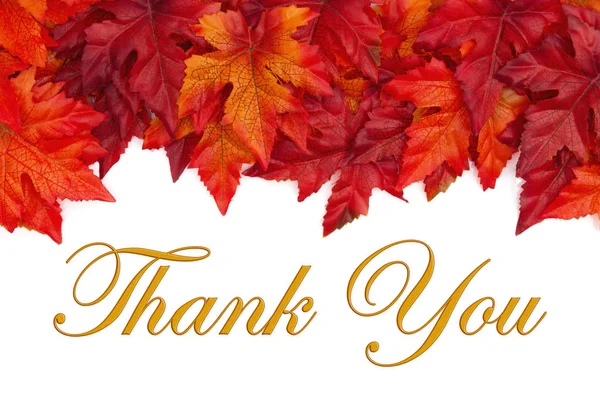 Fall thank you Stock Photos, Royalty Free Fall thank you Images ...