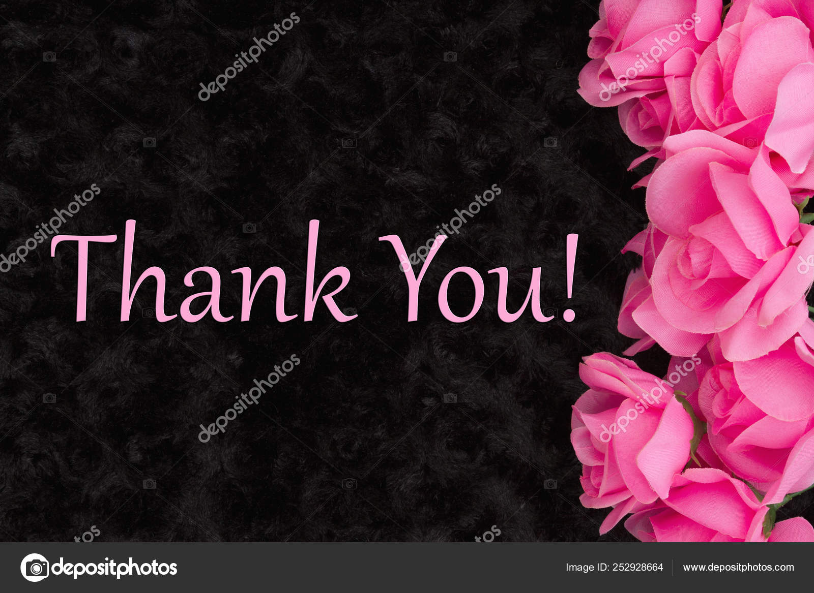Thank You message with pink roses on black Stock Photo by ©karenr 252928664