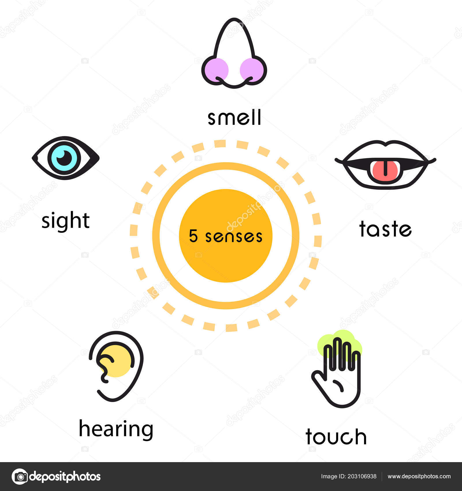 The Five Senses Sight