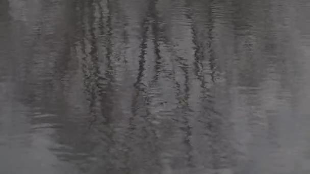 23 Slog 3 Stock Videos, 4K & HD Footage | Depositphotos