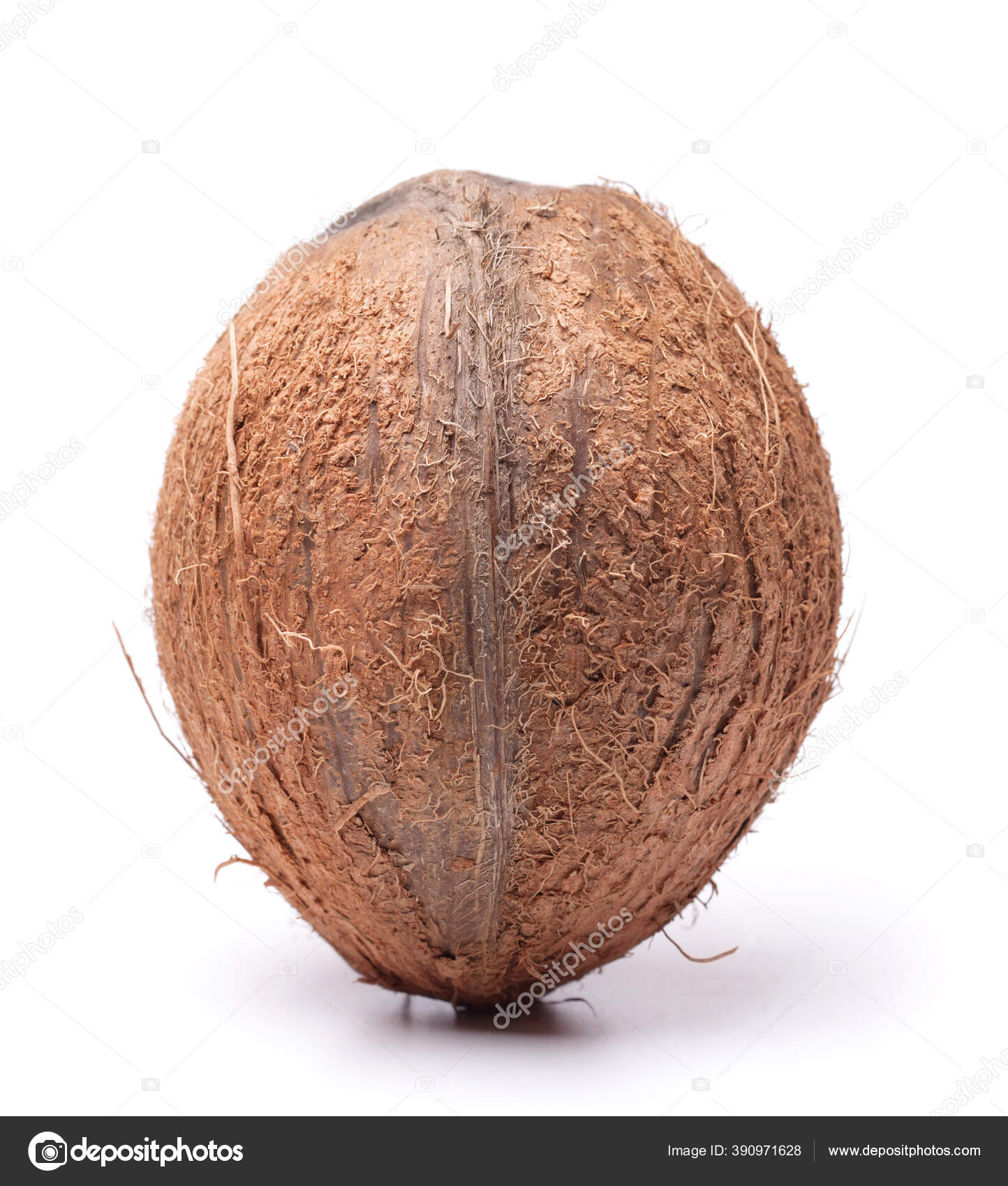 Big Coconut Isolated White Background — Stock Photo © coffeemill #390971628