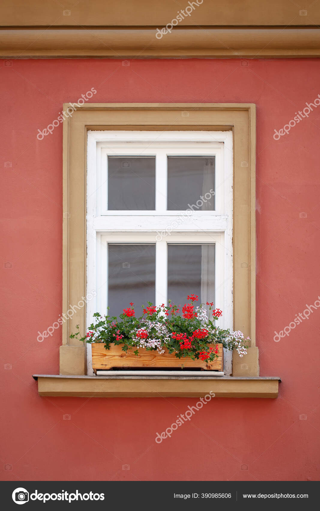 Beautiful Red Flower Standing Window House — Stock Photo © coffeemill ...