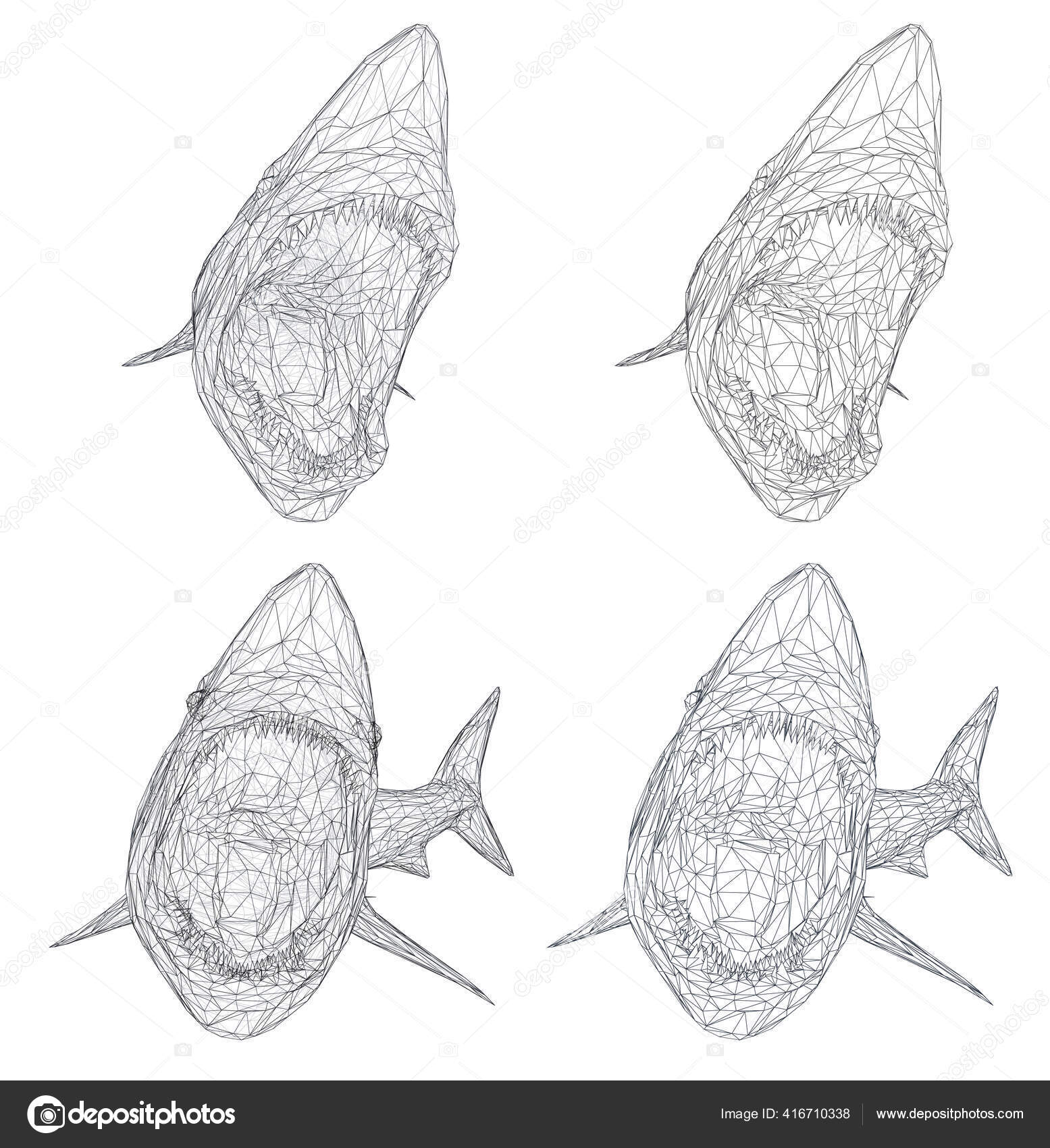 Vector Shark Triangular Grid Predator Isolated White Background Stock ...