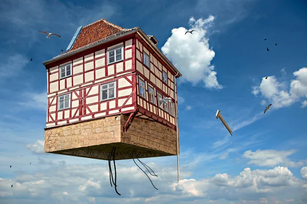 House fly flying Stock Photos, Royalty Free House fly flying Images ...