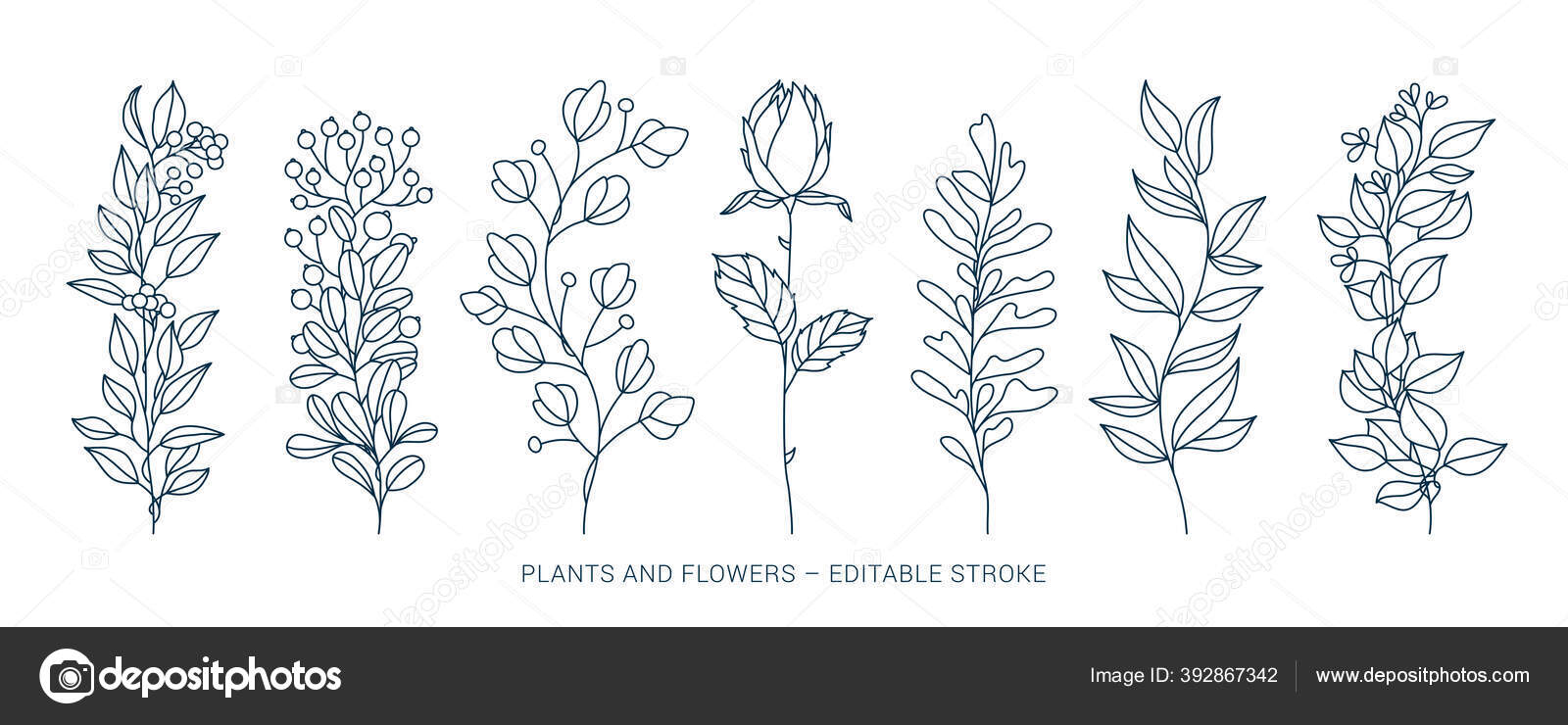 Set Hand Drawn Curly Grass Flowers White Isolated Background Botanical ...