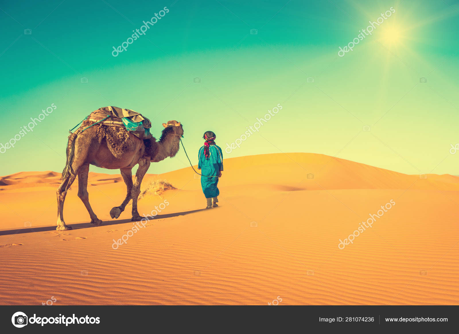 Camel caravan going through the sand dunes in the Sahara Desert, Morocco at sunset — Stock Photo ...