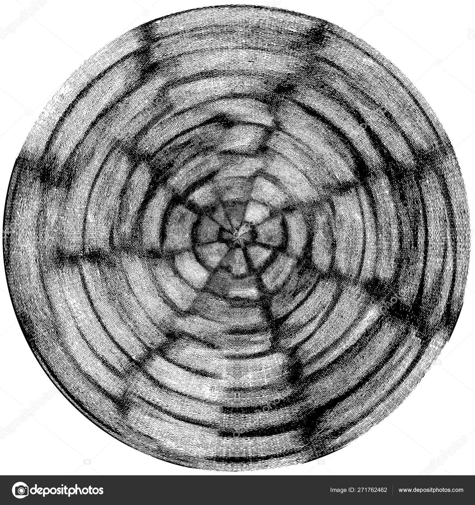 High Quality Black White Infrared Background Grunge Texture — Stock ...