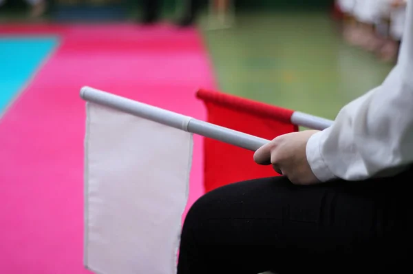 Referee flag Images - Search Images on Everypixel