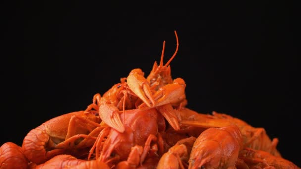4,667 Crayfish Stock Videos, 4K & HD Footage | Depositphotos