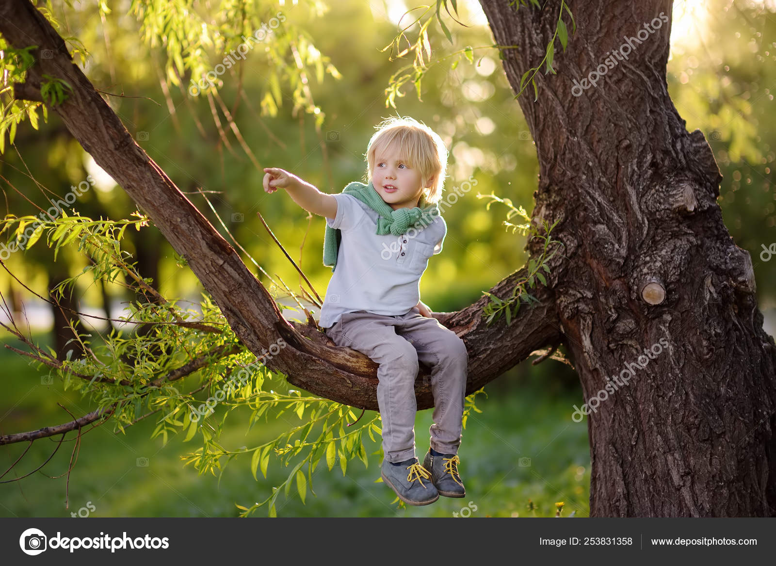 Little boy sits on a branch of a big tree and points with his finger ...