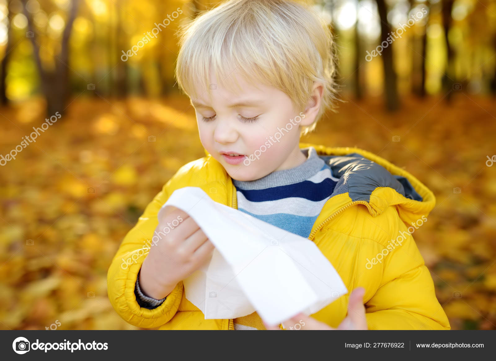 Little boy sneezing and wipes nose with napkin during walking in autumn ...