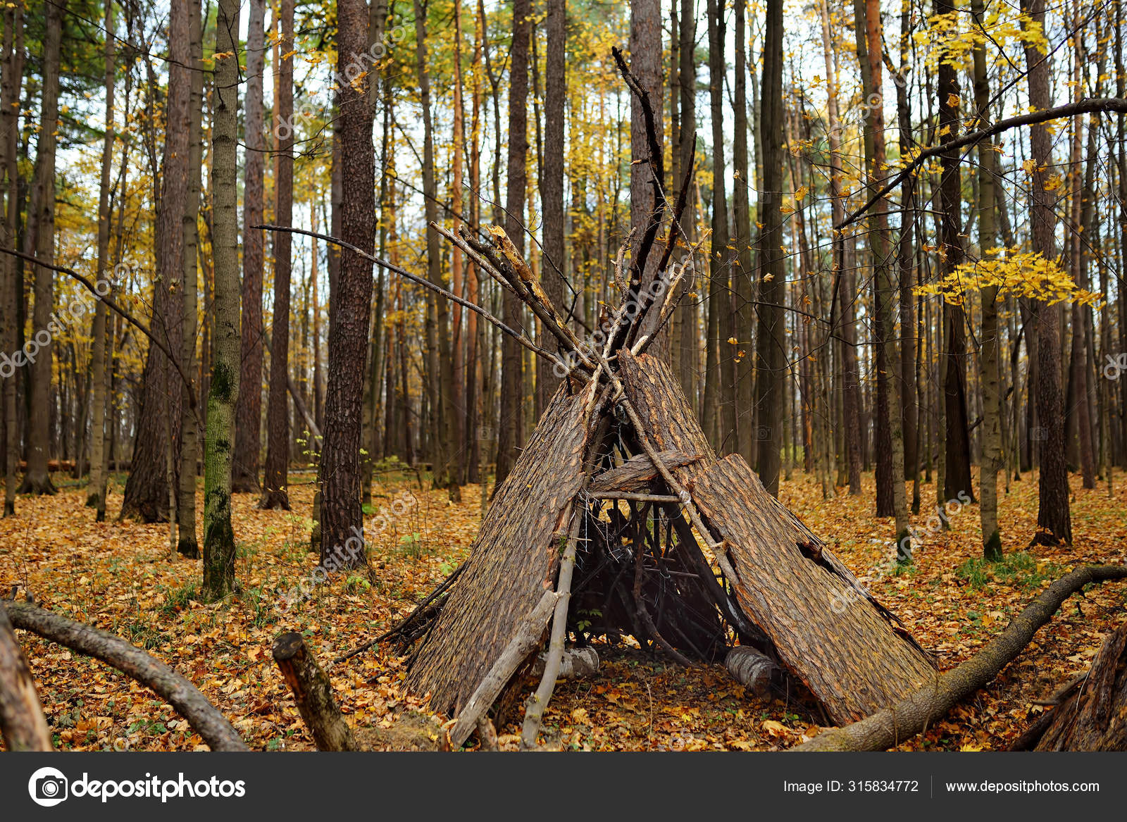 Tent Made Of Leaves