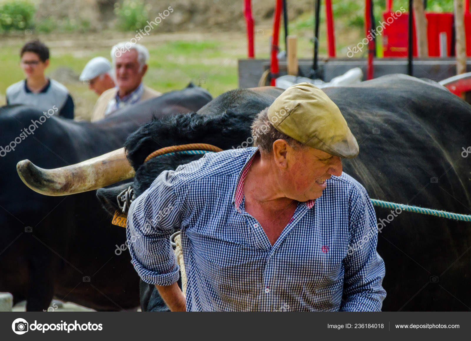 Almayate Spain April 2018 Contest Andalusian Town Almayate Based ...