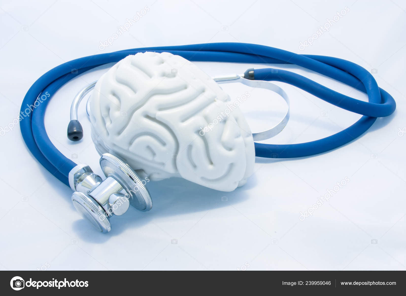 Model Human Brain Convolutions Blue Stethoscope White Uniform ...