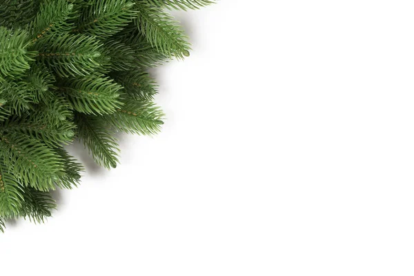 Fir branches isolated a on white background — Stock Photo © Ra33 #313478298
